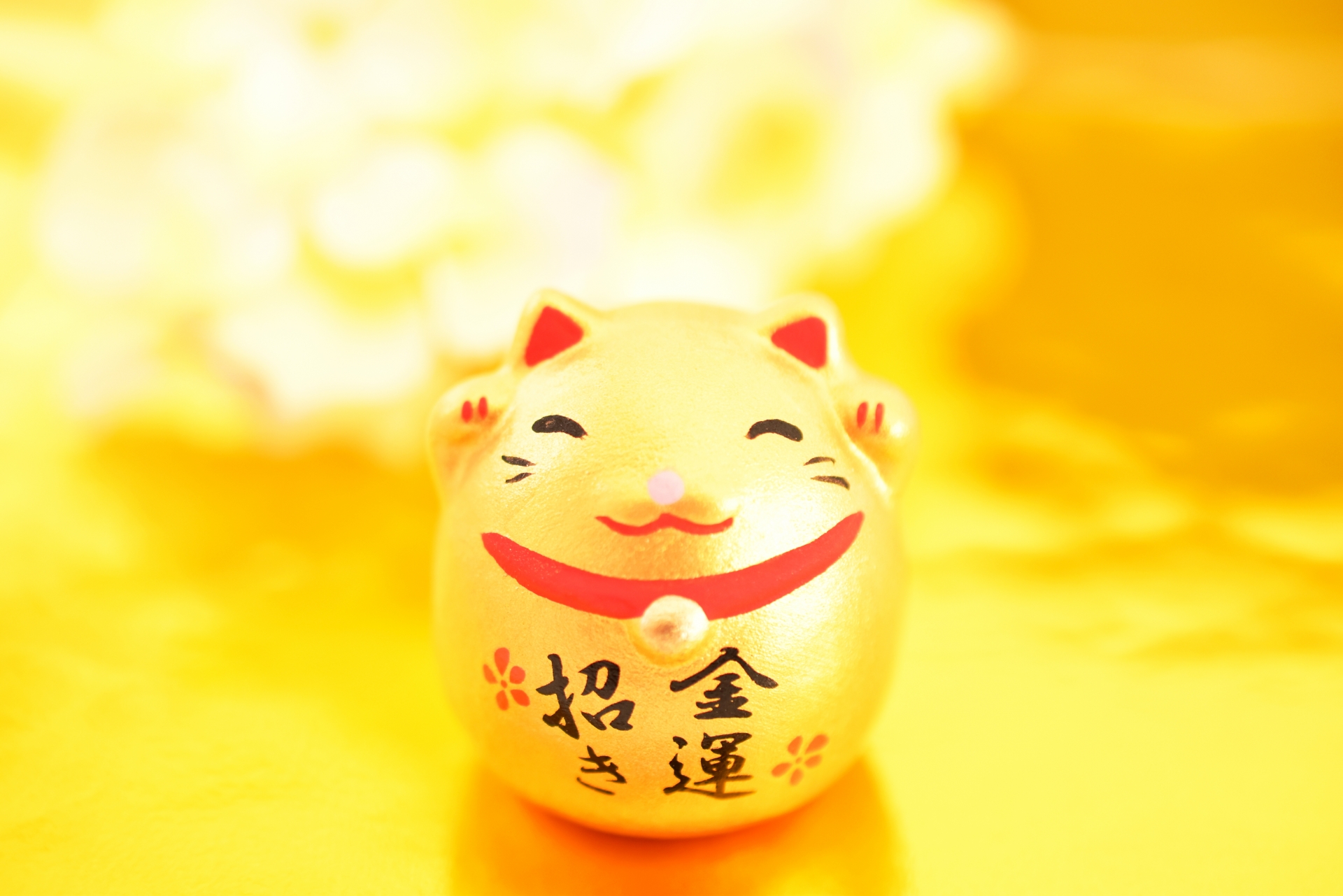 The Complete Guide to Lucky Cat Color Meanings and Their Symbolism ...