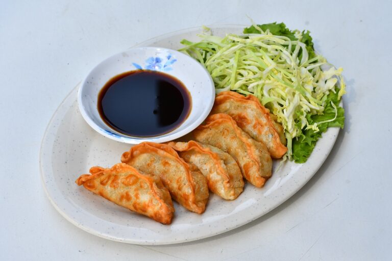 Mastering Gyoza: Recipes, Techniques, and Cultural Insights - Japambience