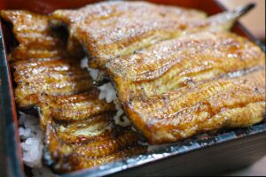 Discovering Unagi: Recipes, Health Benefits, and Cultural Significance ...