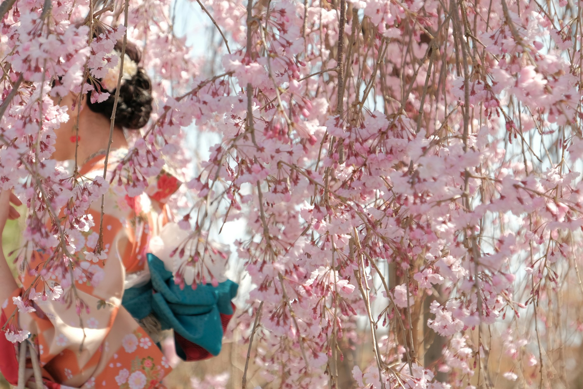 Exploring the Rich Tradition of Kimono: Who Wears Them and Why ...
