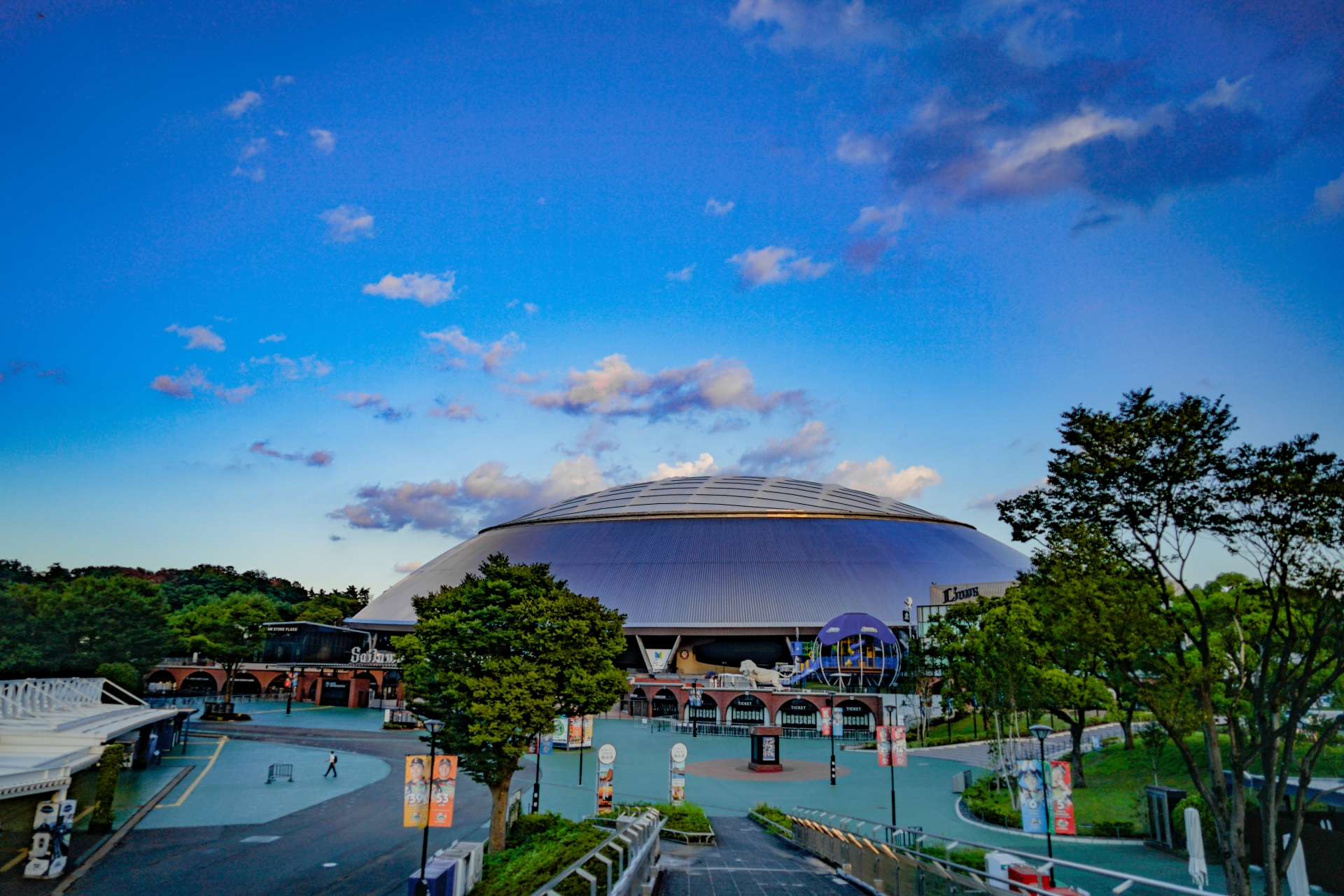 Exploring the Fascination with Baseball in Japan: From History to ...