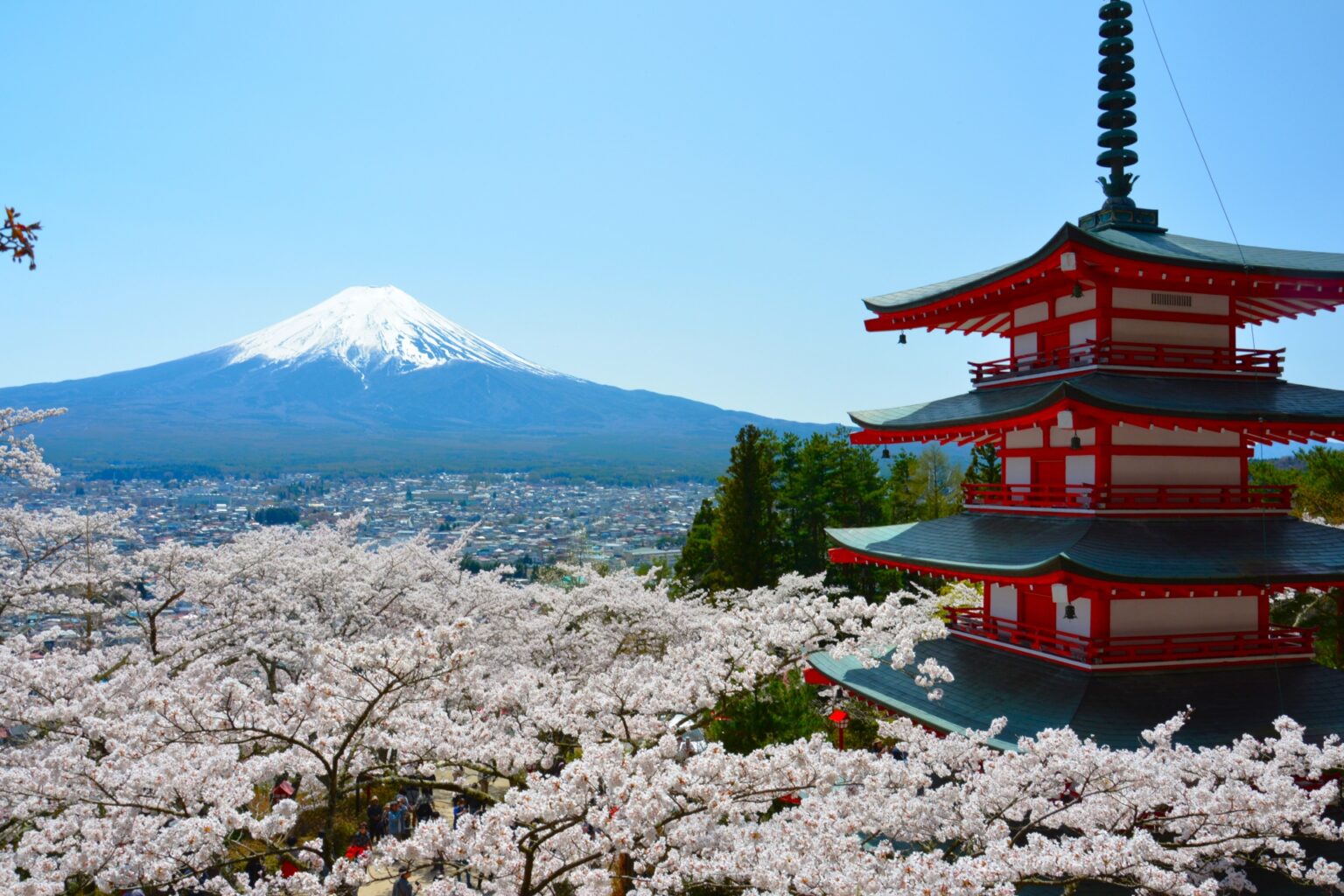 The Best Time to Visit Japan: A Guide to Every Season and Occasion ...