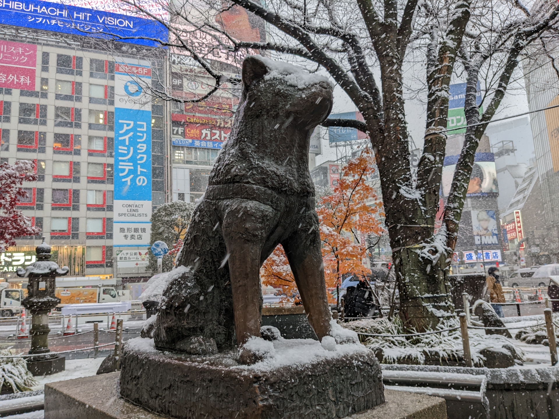 Exploring Hachiko and Other Shiba Inu Statues of Japan: History ...