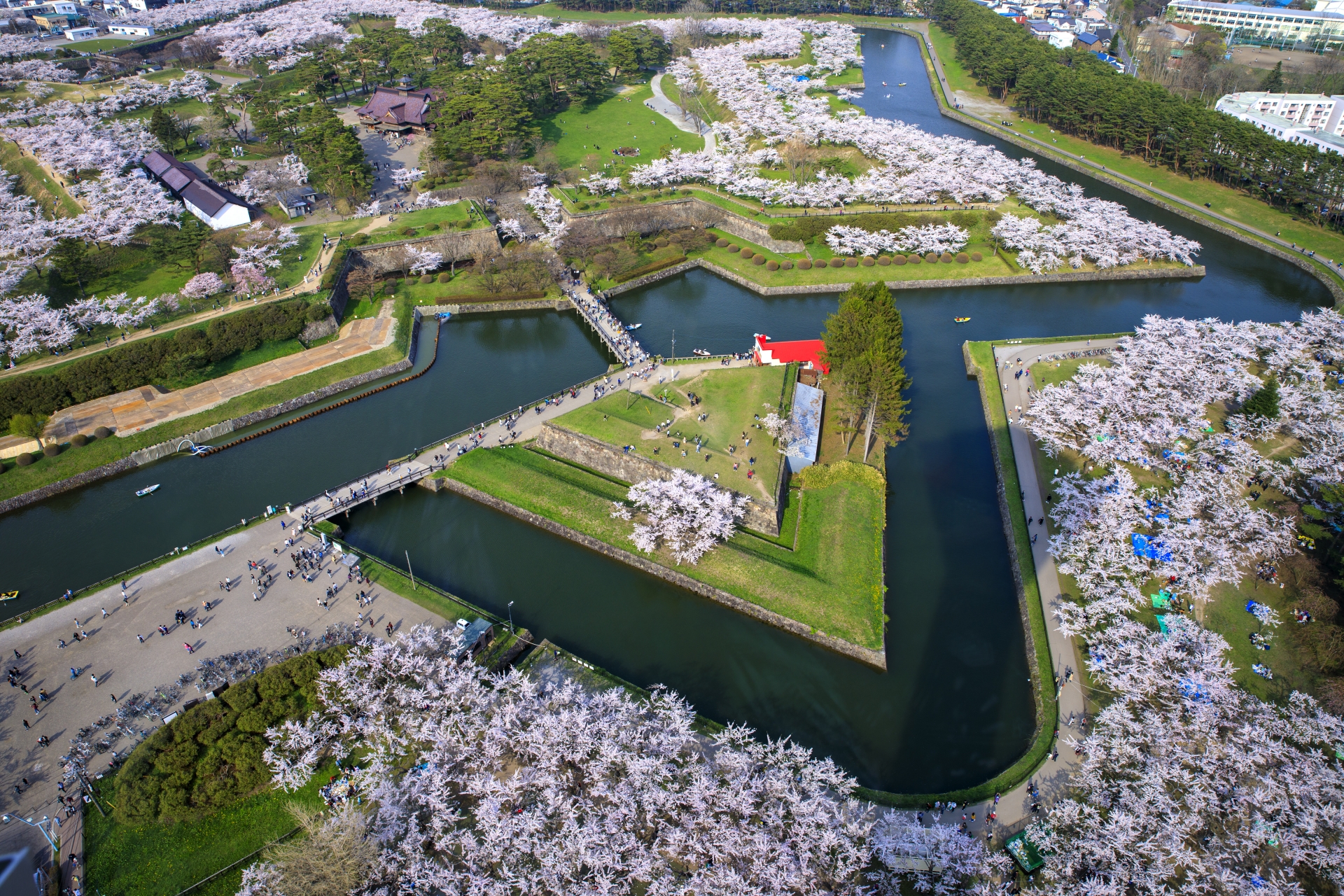 Hanami: A Comprehensive Guide to Cherry Blossom Viewing in Japan ...