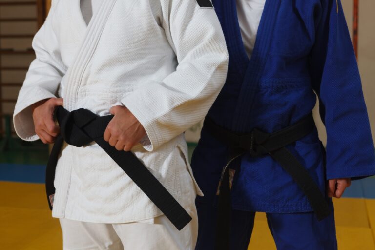 The Ultimate Guide to Judo: Techniques, Benefits, and Getting Started - Japambience