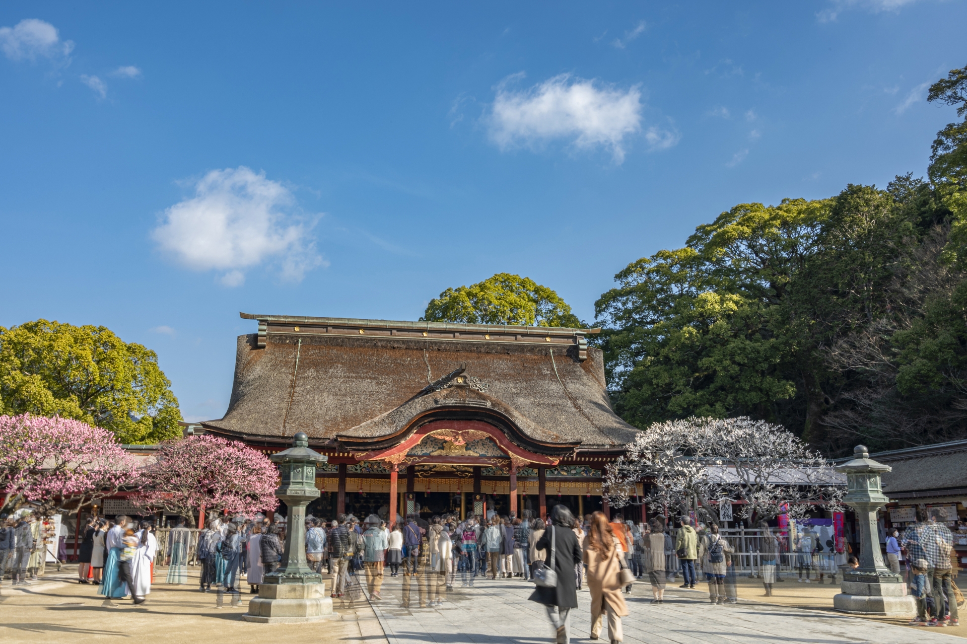 Exploring Kyushu: The Ultimate Guide to Japan’s Hidden Gem - Japambience