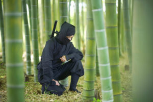 Unveiling the World of Ninja and Shinobi: History, Culture, and Legacy ...