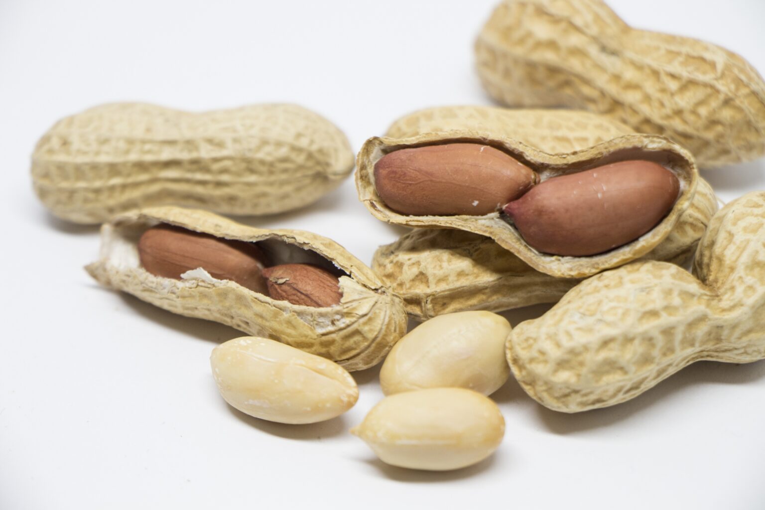 Understanding Setsubun: The Japanese Festival of Spring and Good ...