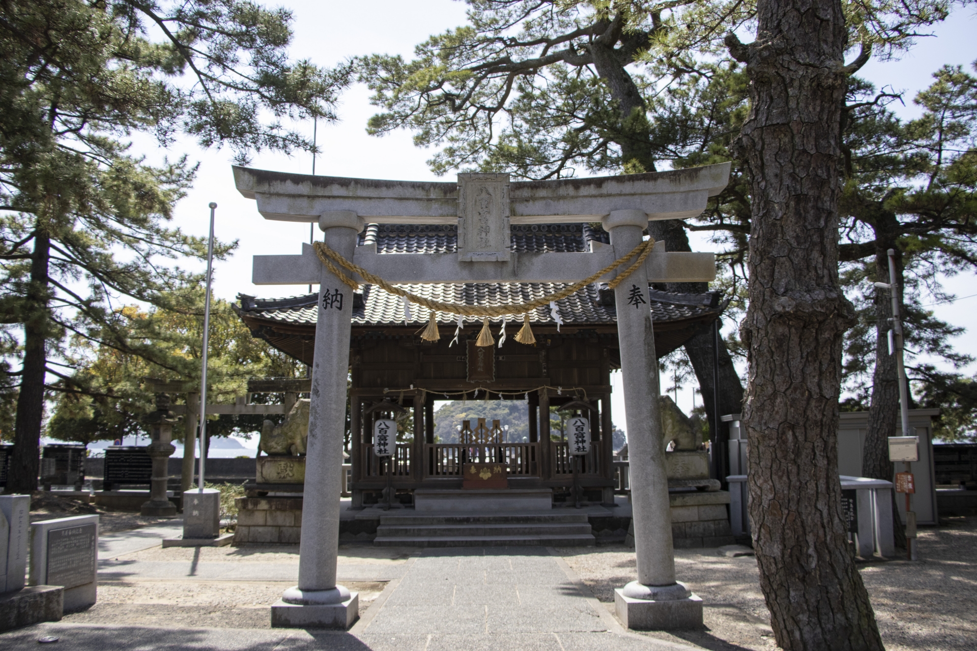Exploring the Mystical World of Shinto Shrines: History, Etiquette, and ...