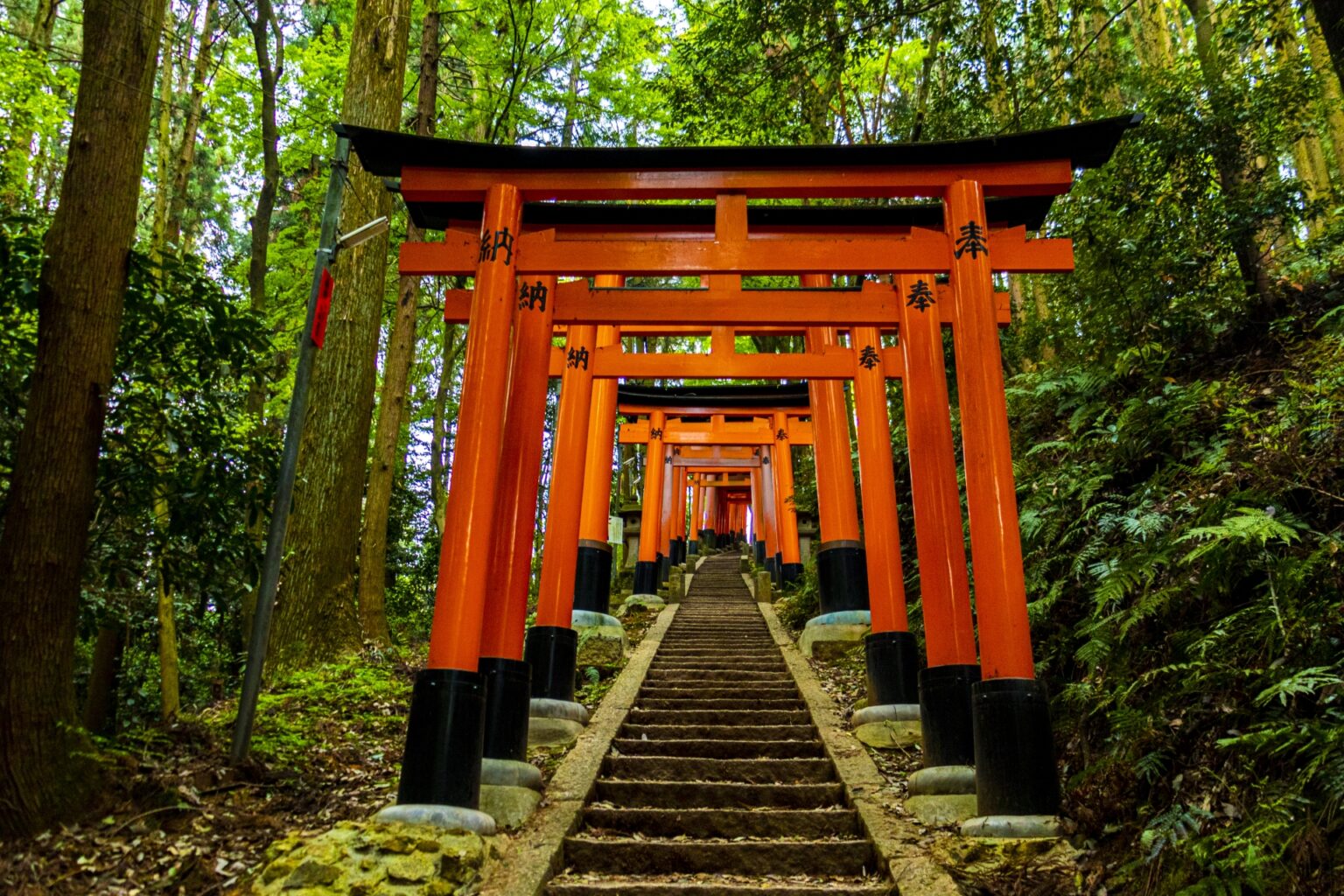 Ultimate Guide to Fushimi Inari Shrine: History, Culture, and Travel ...