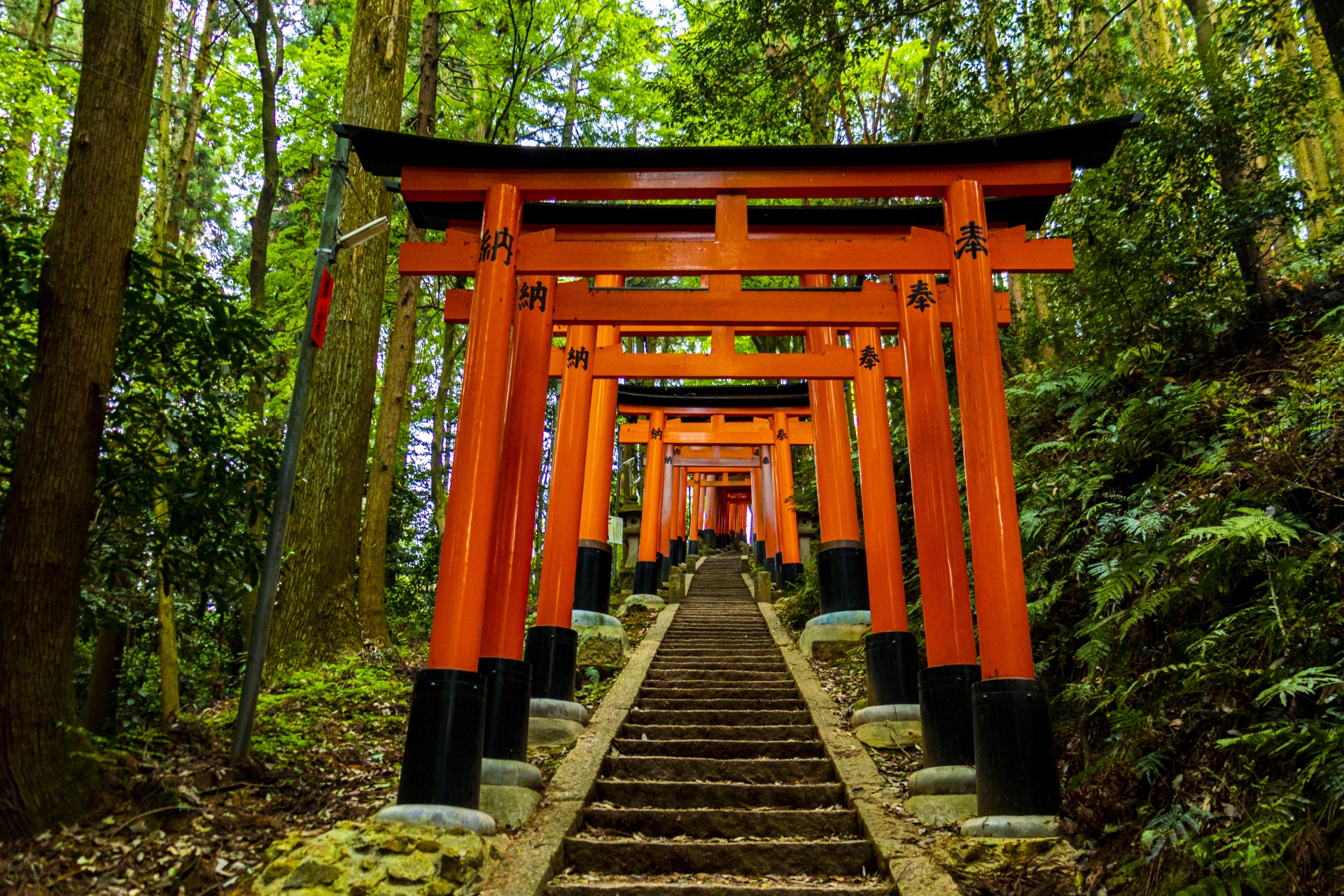 Ultimate Guide to Fushimi Inari Shrine: History, Culture, and Travel ...