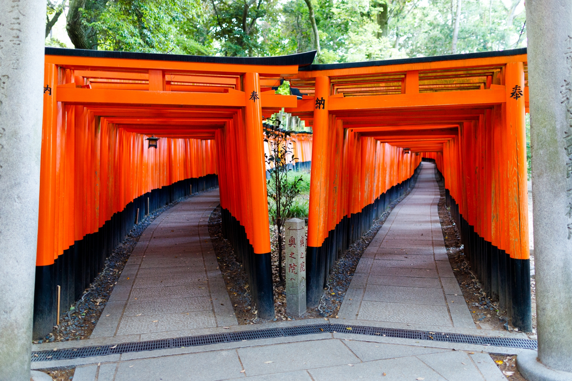 Ultimate Guide to Fushimi Inari Shrine: History, Culture, and Travel ...