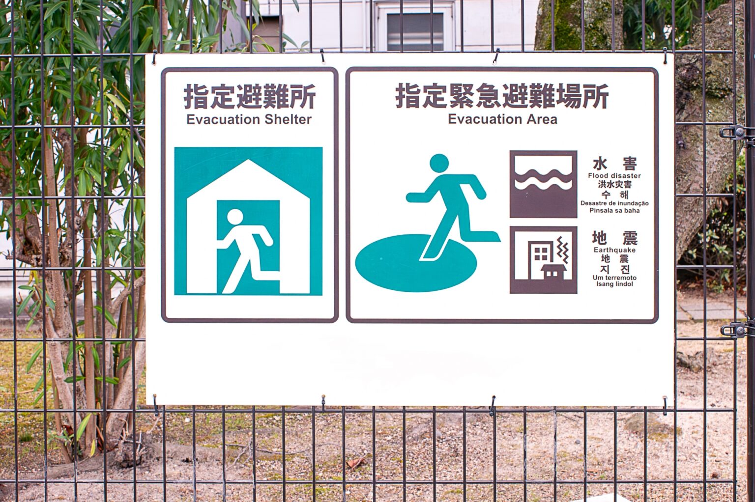 Understanding Japan’s Typhoon Season: Safety Tips, Climate Impact, and ...