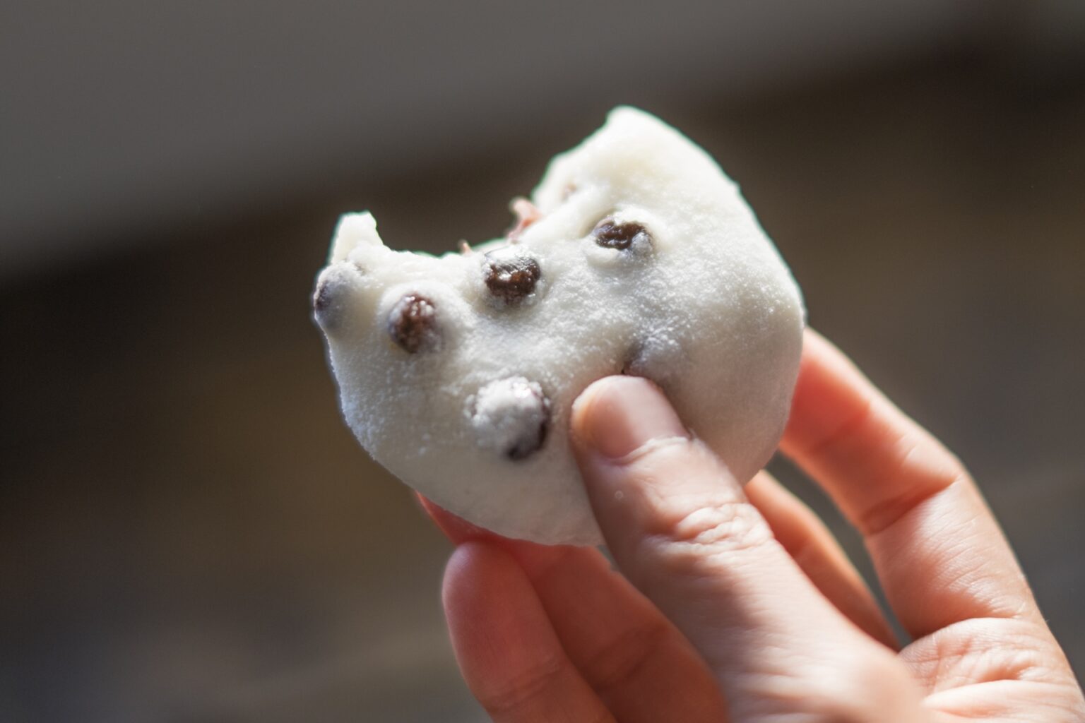 Exploring Wagashi: Japan’s Traditional Sweets, Recipes, and Cultural ...