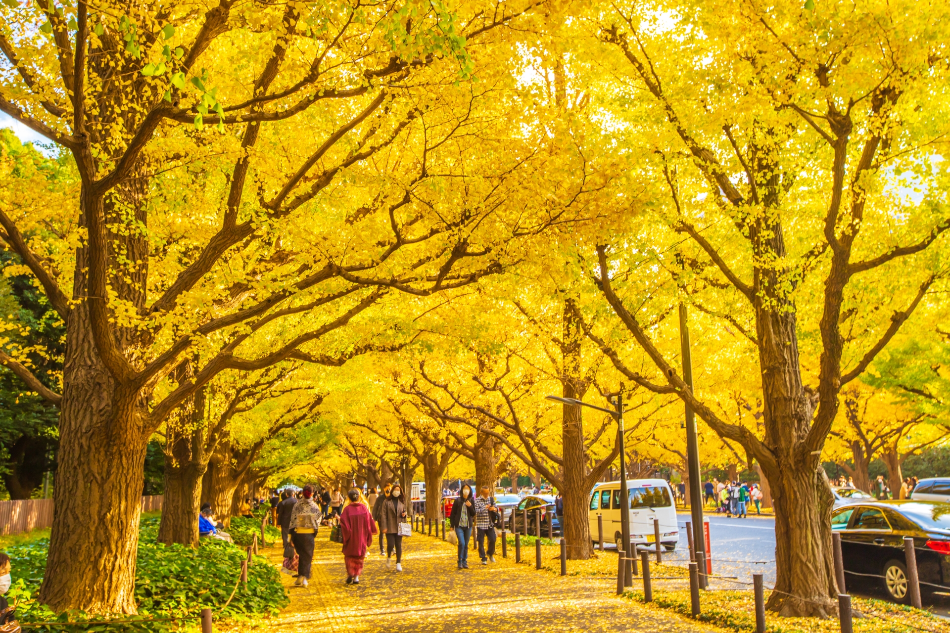 What is the Climate Like in Tokyo, Japan? A Comprehensive Guide for ...