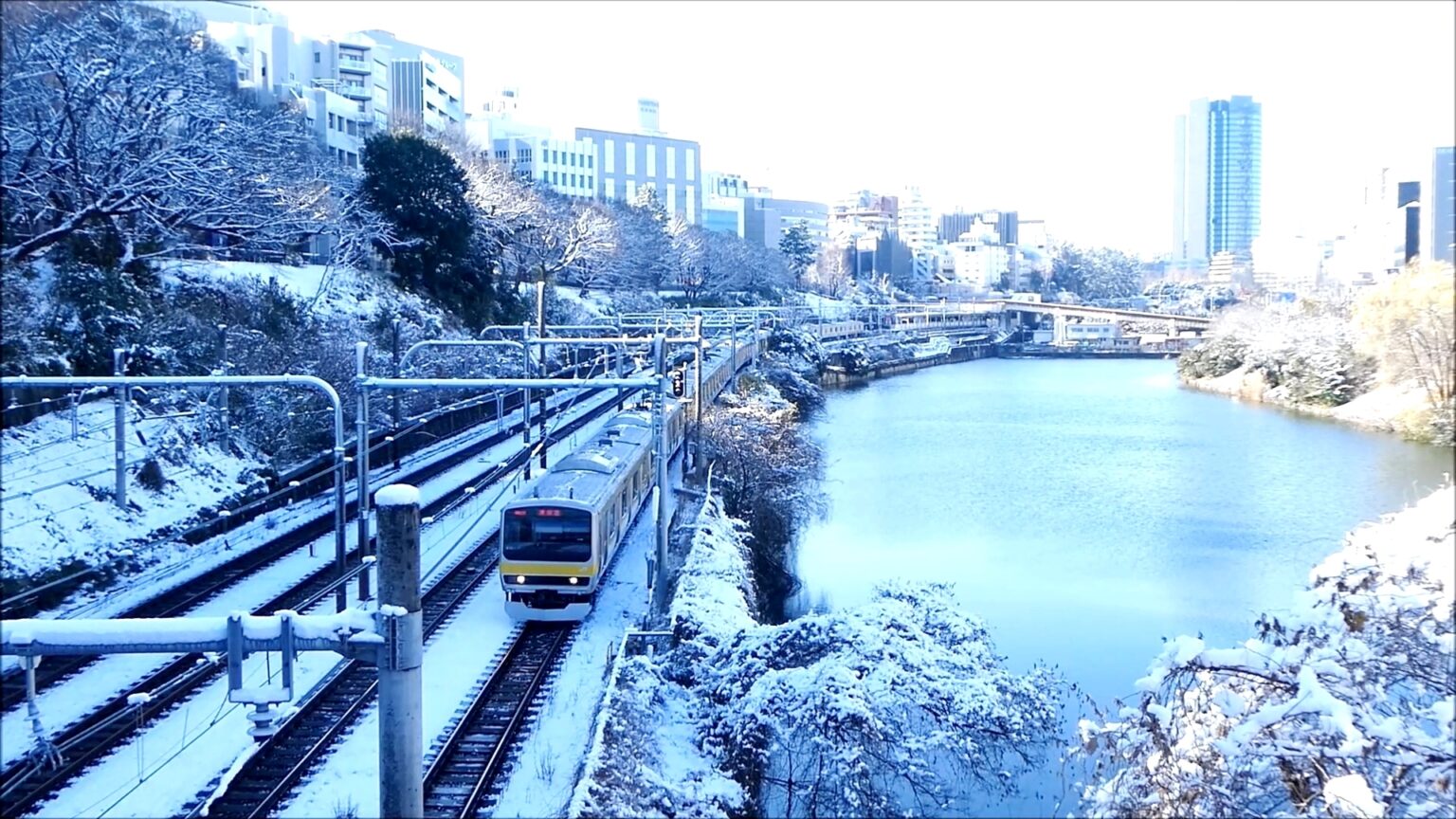 What is the Climate Like in Tokyo, Japan? A Comprehensive Guide for ...