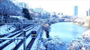 What is the Climate Like in Tokyo, Japan? A Comprehensive Guide for ...