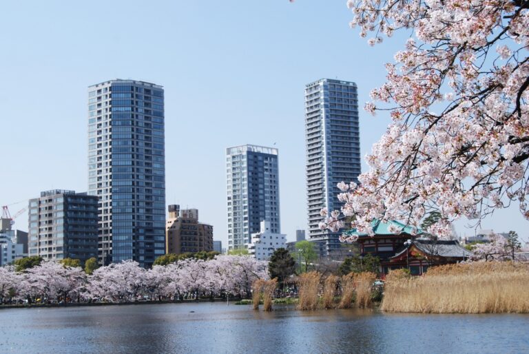 What is the Climate Like in Tokyo, Japan? A Comprehensive Guide for ...