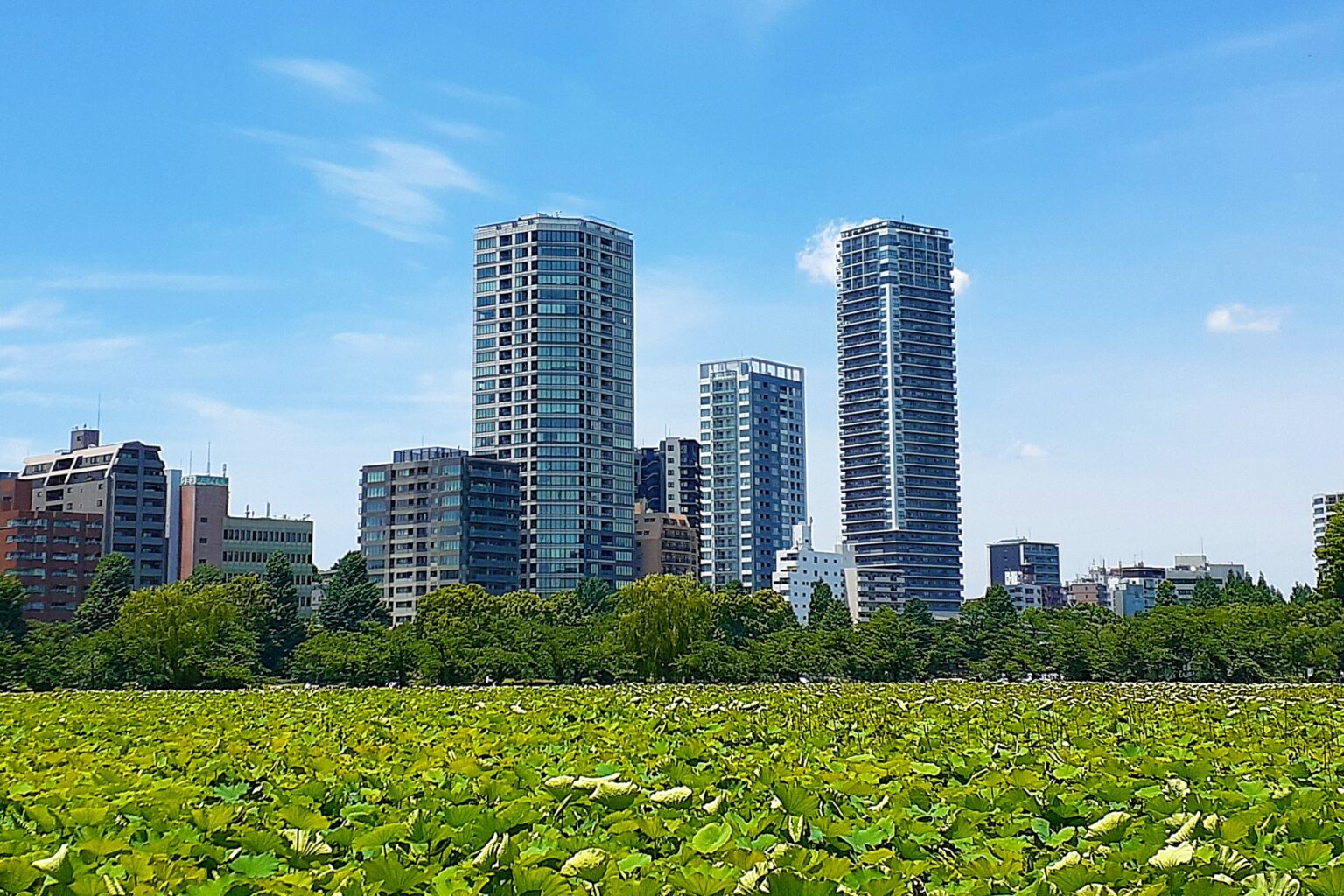 The Art of Japanese City Layout: Balancing Tradition, Efficiency, and ...