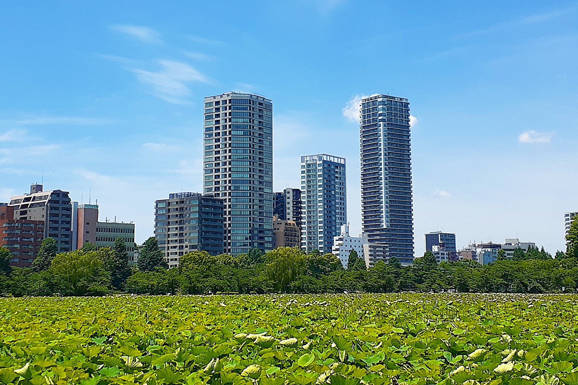 The Art of Japanese City Layout: Balancing Tradition, Efficiency, and ...