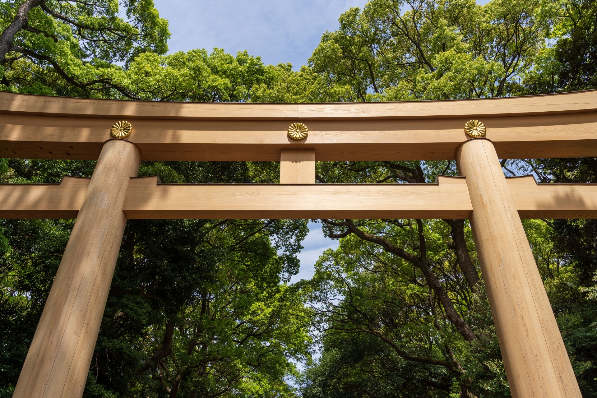Discover the History and Beauty of Meiji Shrine (Jingu): A ...