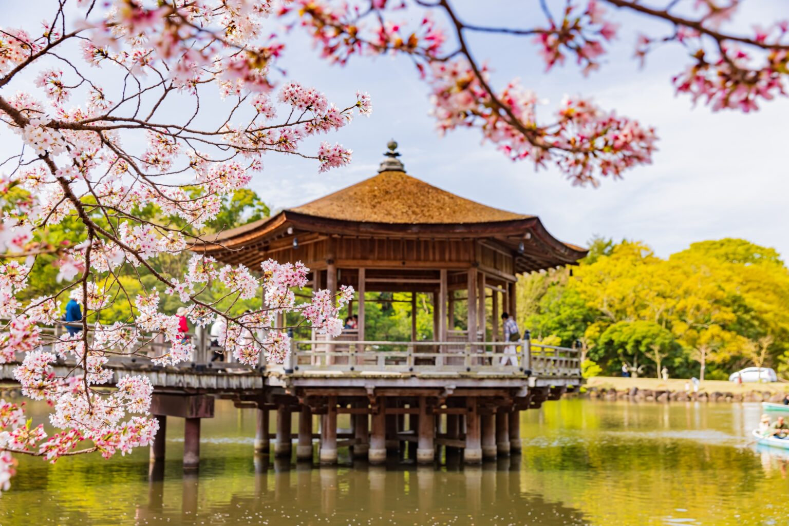 Nara Park: A Complete Guide to Japan’s Historic Deer Park - Japambience