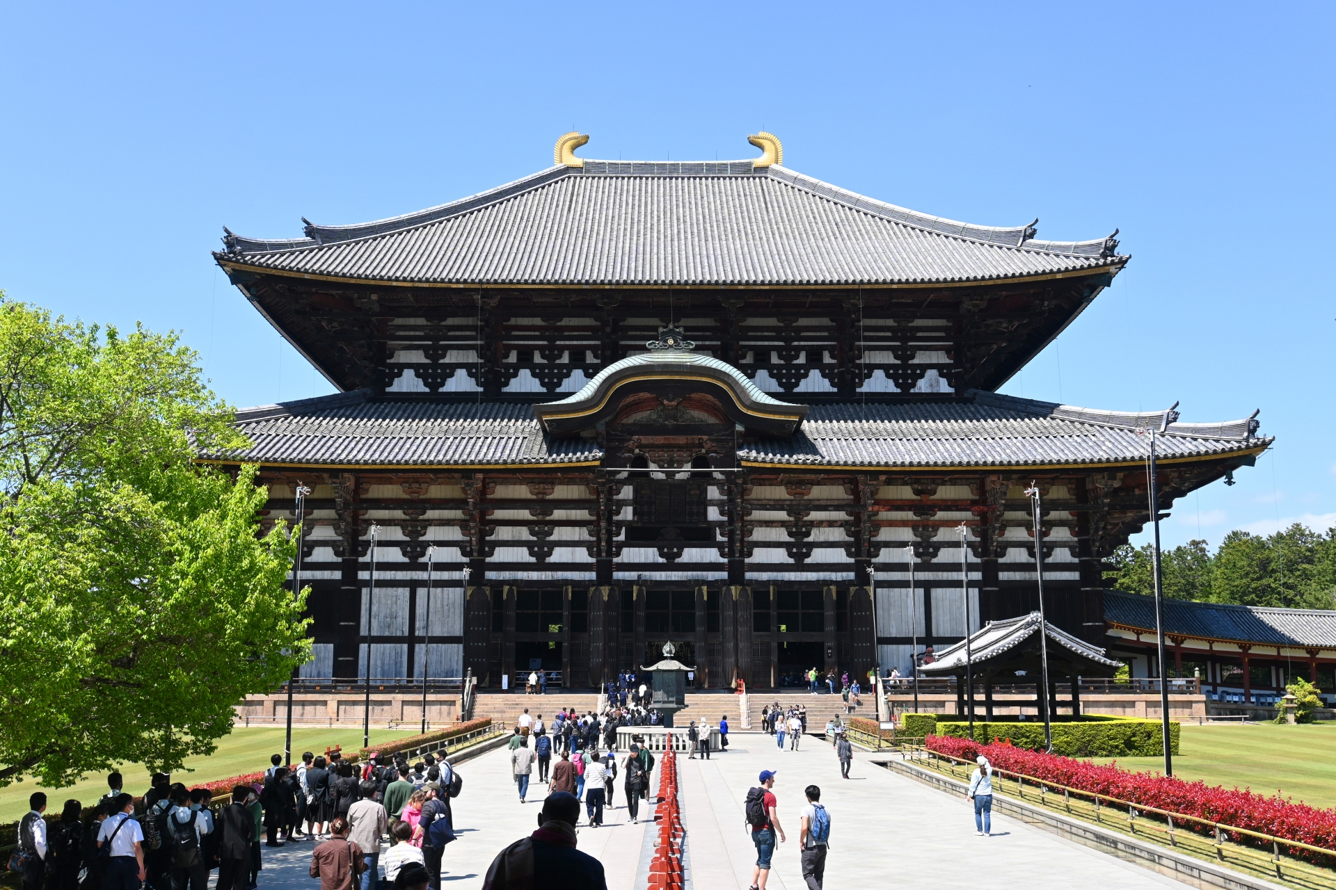 Nara Park: A Complete Guide to Japan’s Historic Deer Park - Japambience