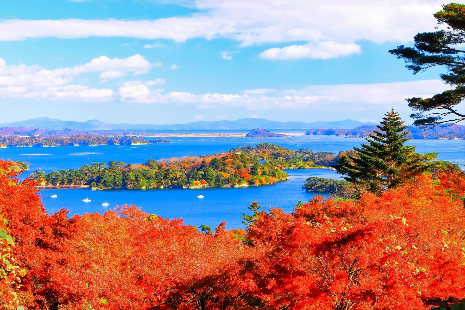 Sendai: The Ultimate Guide to Japan’s Green City - Japambience