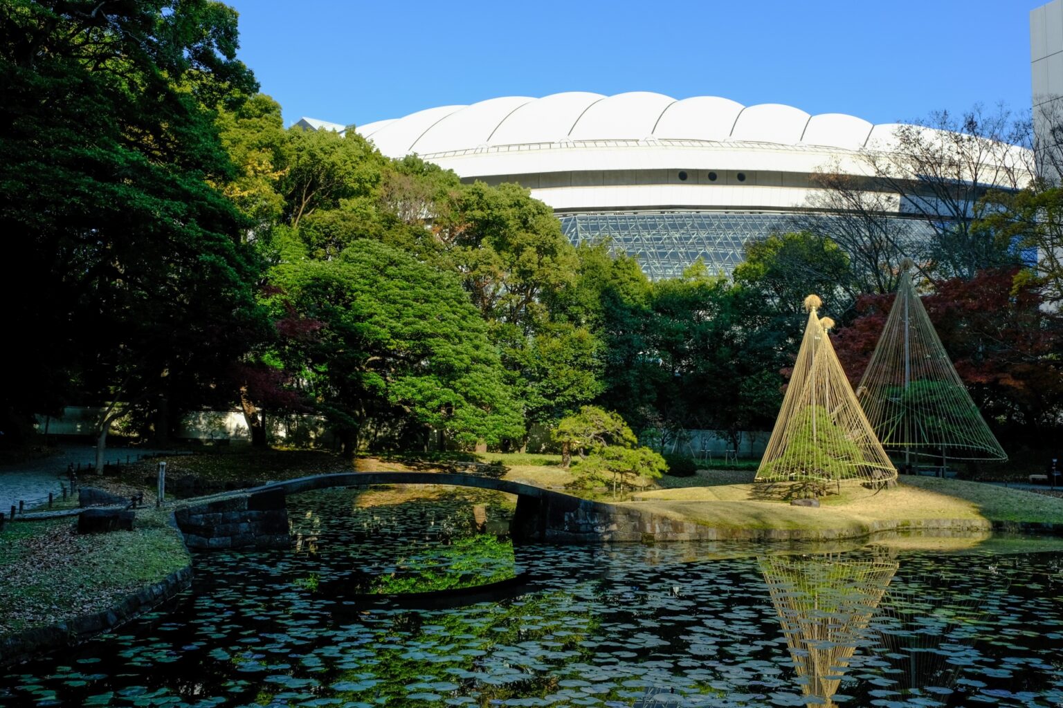 Ultimate Guide to Tokyo Dome: Events, Attractions, and Insider Tips ...
