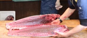 Maguro in Japan: A Guide to Tuna’s Culinary Legacy, Markets, and ...