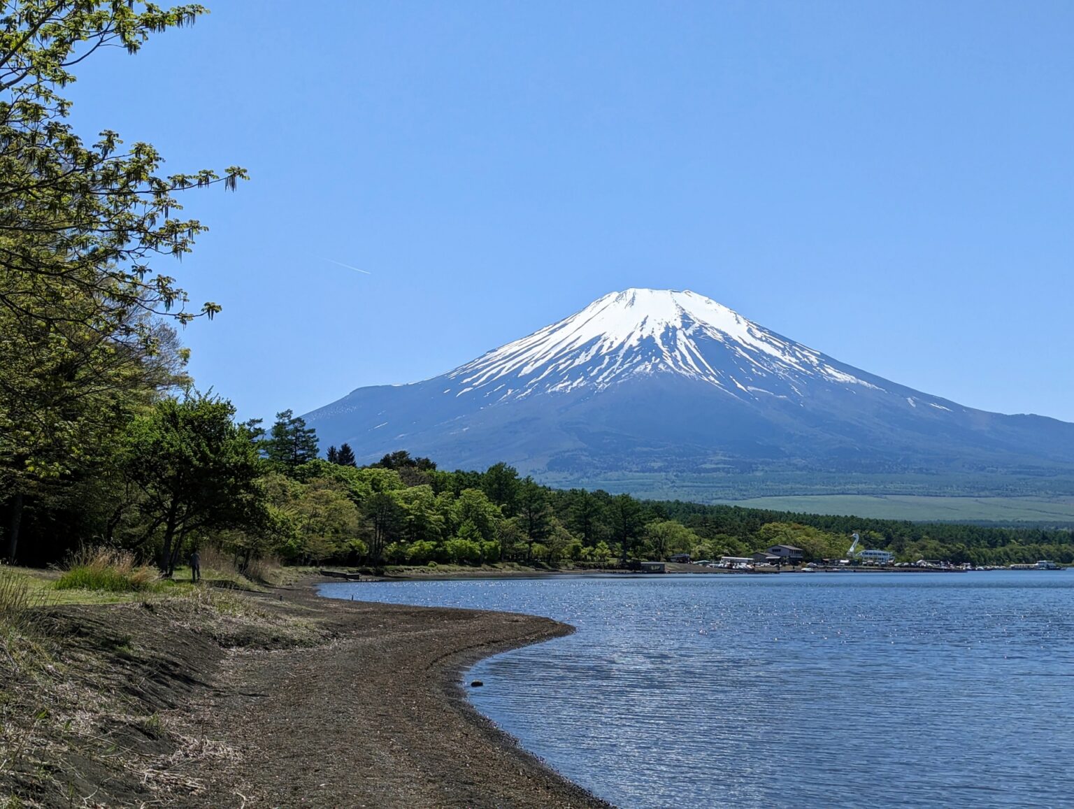 Understanding Omisoka: Japan’s Unique New Year’s Eve Celebration ...