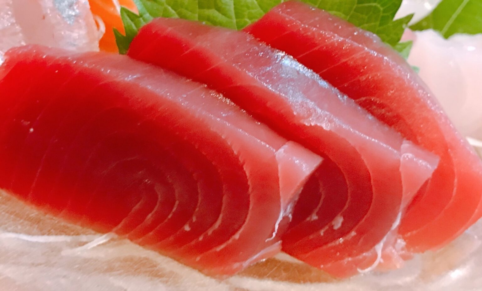 Maguro in Japan: A Guide to Tuna’s Culinary Legacy, Markets, and ...