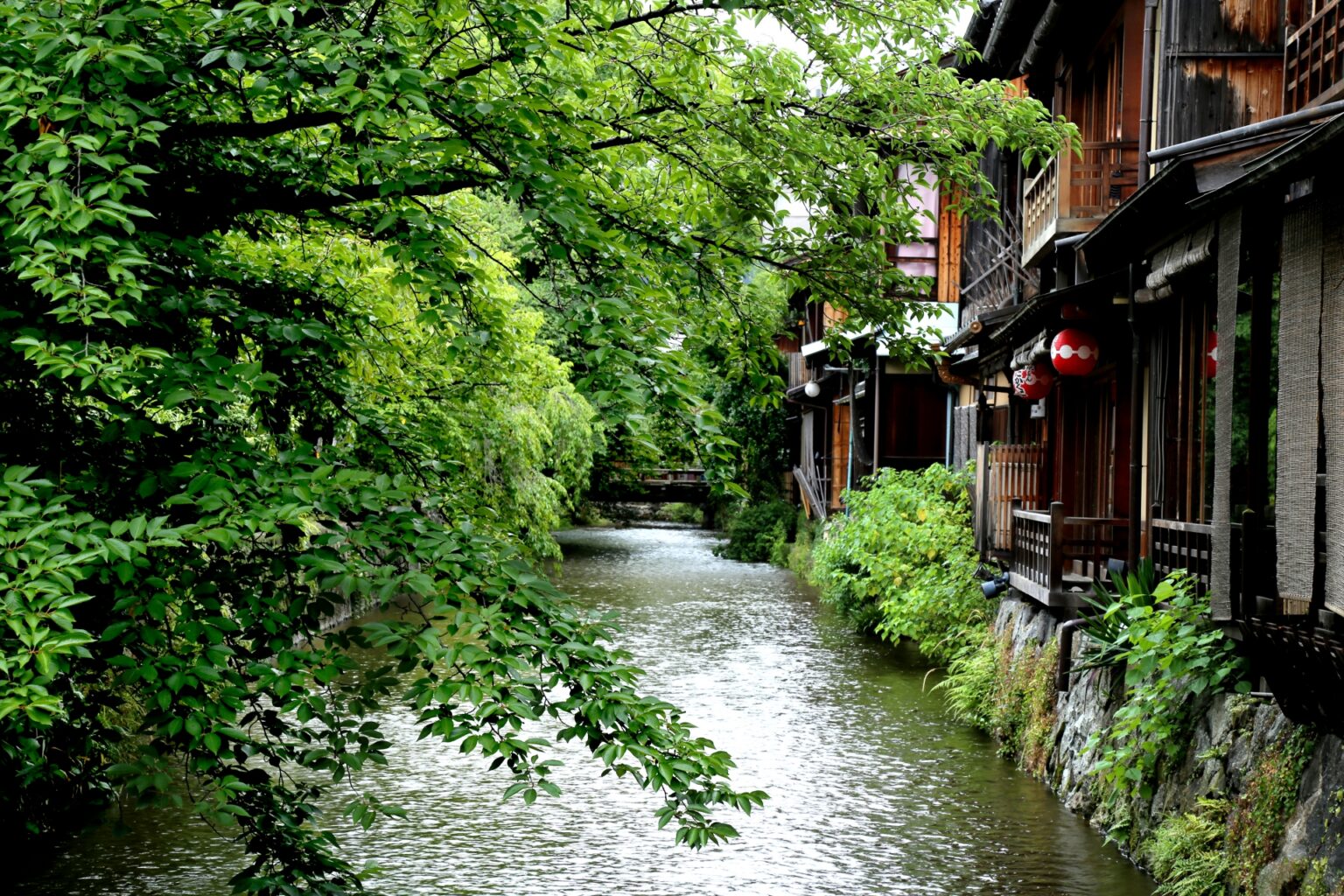 Exploring Gion: Kyoto’s Timeless Geisha District - Japambience