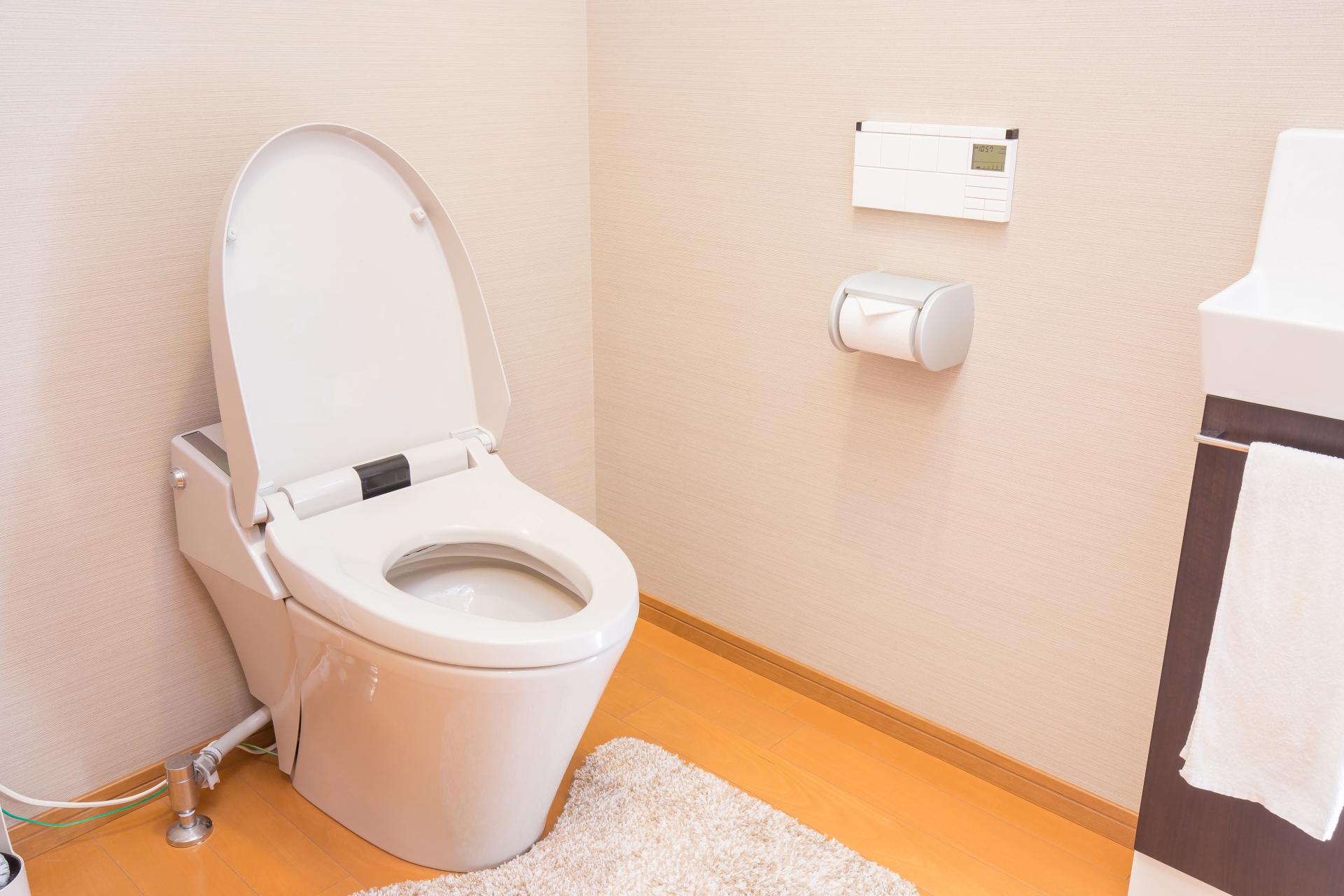 Why Japanese Toilets Are Transforming Modern Bathrooms: Features ...