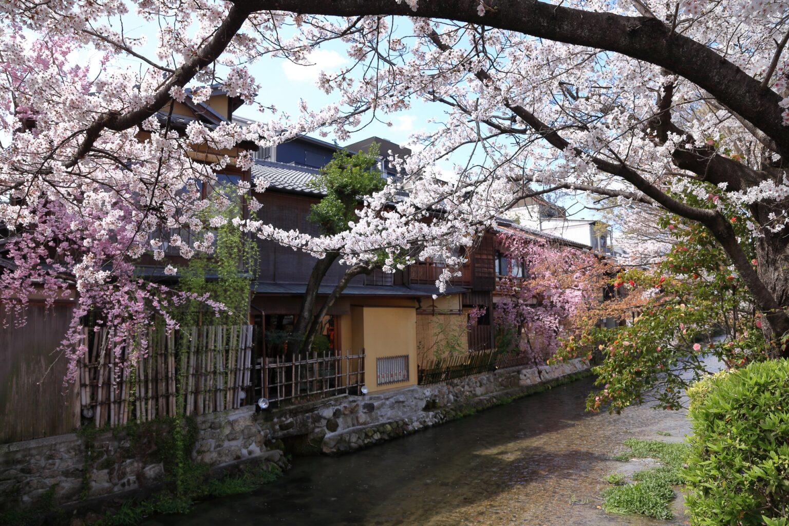 Exploring Gion: Kyoto’s Timeless Geisha District - Japambience