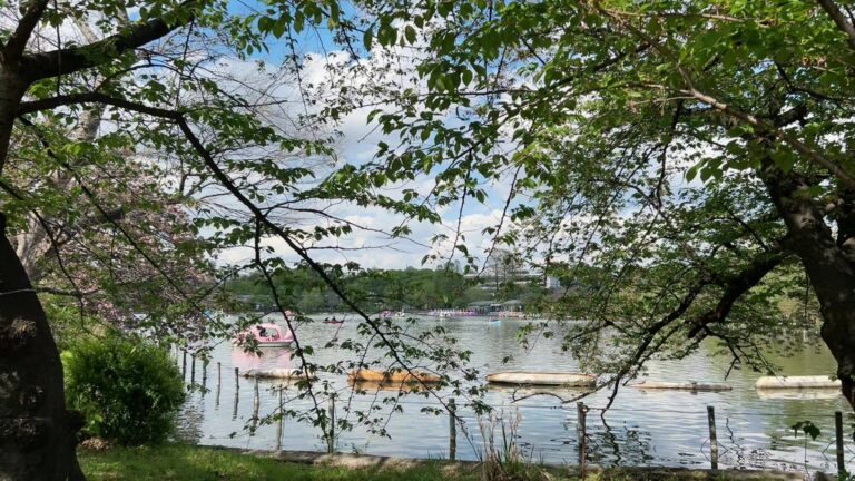 Everything You Need to Know About Taiyaki: Recipes, History, and Modern Twists - Japambience