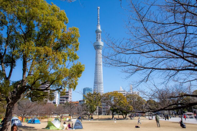 Sumidagawa Fireworks Festival 2025: Ultimate Guide to Tokyo’s Most ...