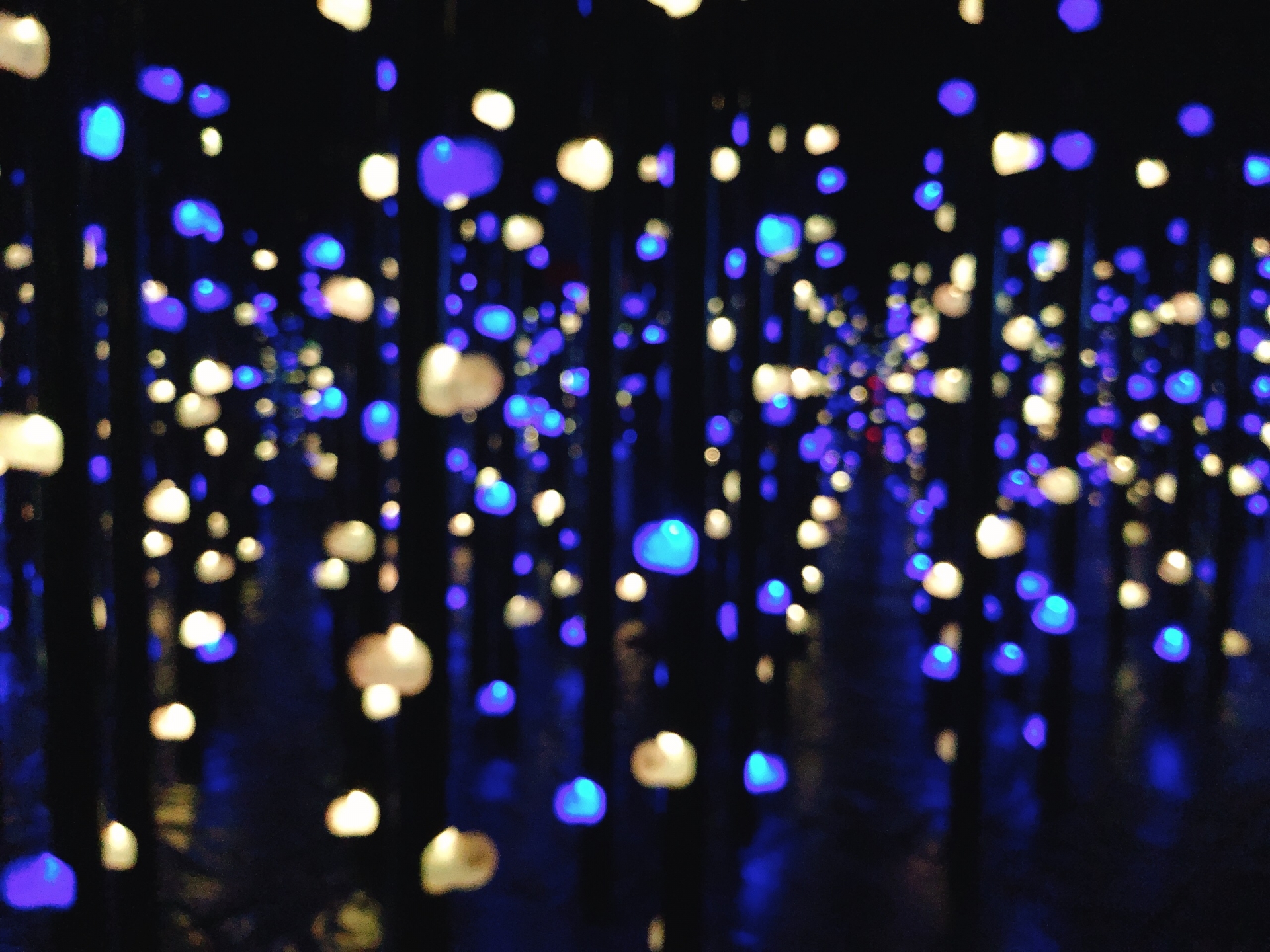 Unveiling teamLab Planets TOKYO: A Breathtaking Immersive Experience ...