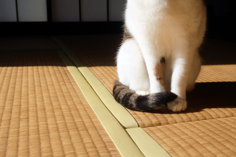 Transform Your Space: Everything You Need to Know About Tatami Rooms ...