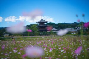 Prince Shotoku: The Visionary Who Shaped Japan’s Spiritual and ...