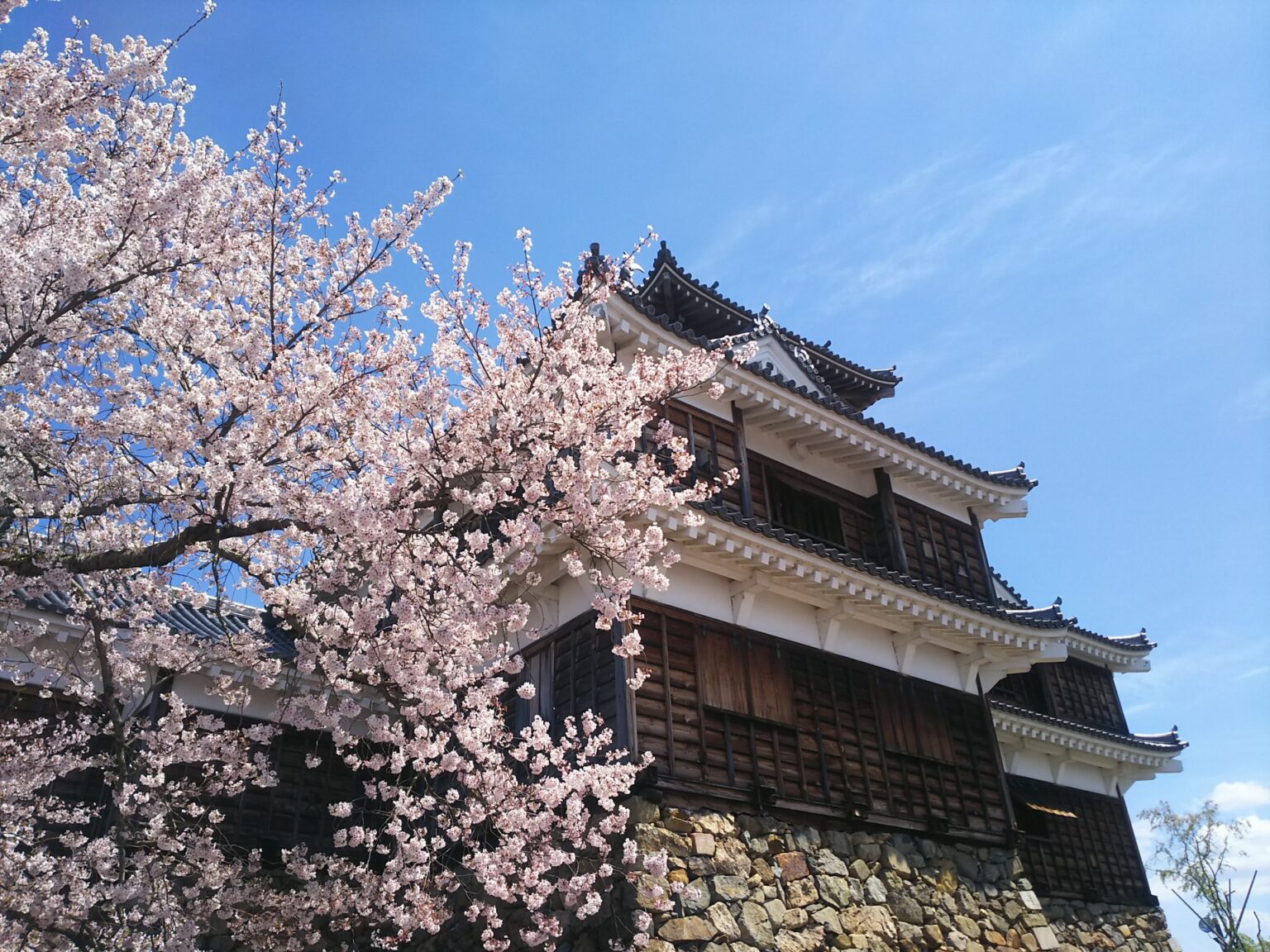Akechi Mitsuhide: The Man Behind the Betrayal of Oda Nobunaga - Japambience