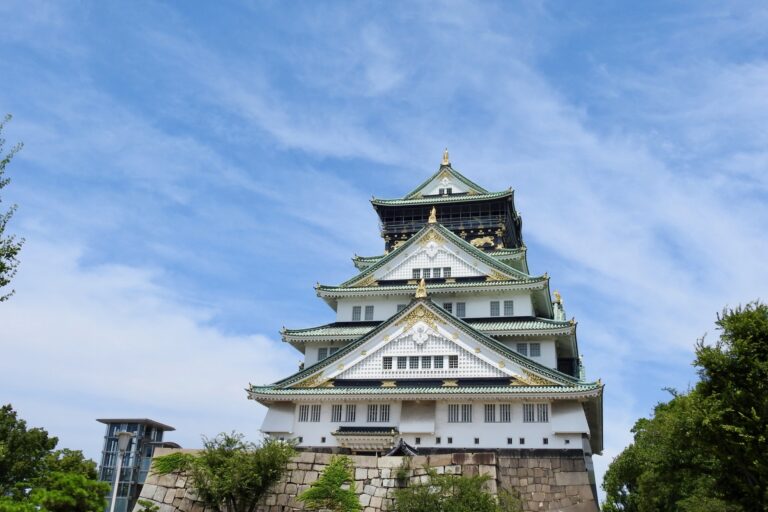 Unveiling the World of Ninja and Shinobi: History, Culture, and Legacy ...