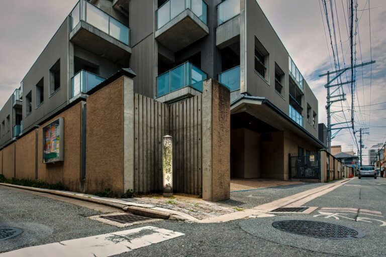 Unveiling the World of Ninja and Shinobi: History, Culture, and Legacy ...