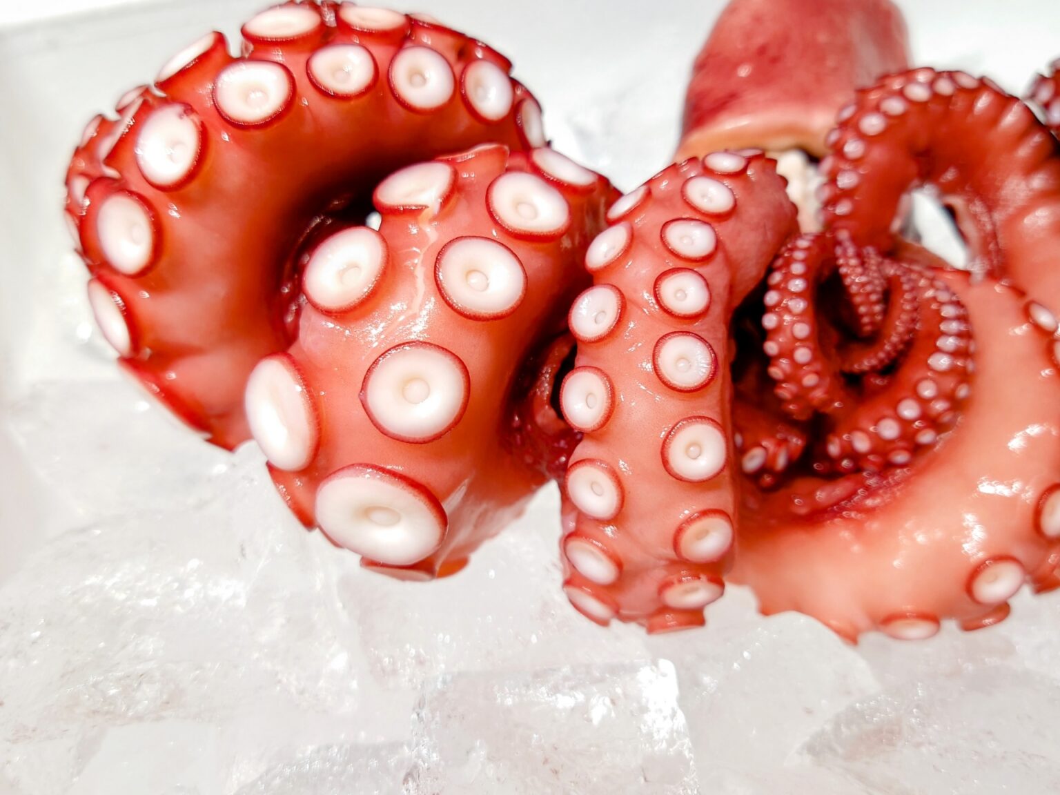 What Is Simmered Octopus? A Japanese Culinary Tradition Explained ...