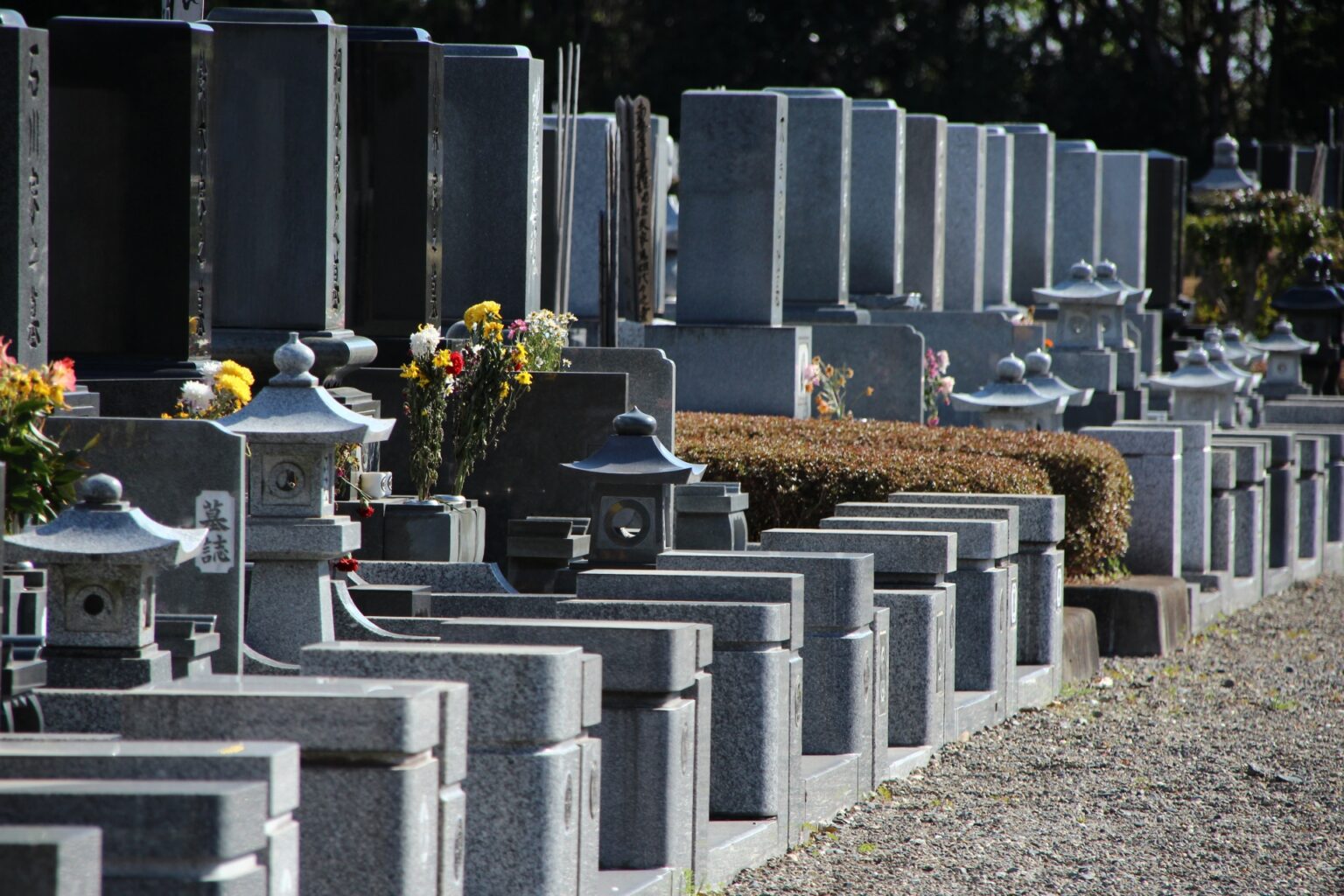 Exploring the Essence of Haiku: Japan’s Timeless Poetic Form - Japambience