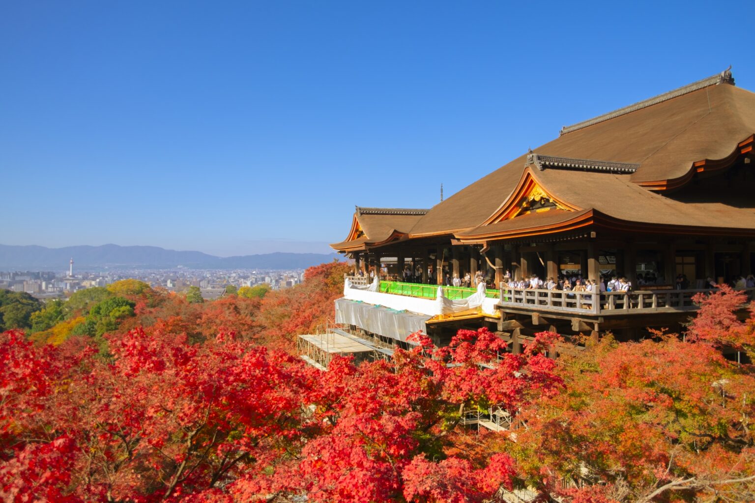 The Japanese Tradition of Momijigari: Exploring Japan’s Autumn Leaf ...