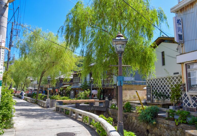 Unveiling the World of Ninja and Shinobi: History, Culture, and Legacy ...