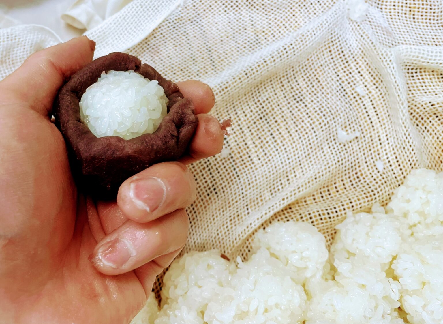 What Is Ohagi? Japan’s Sweet Rice Balls Explained (Ingredients, Seasons ...