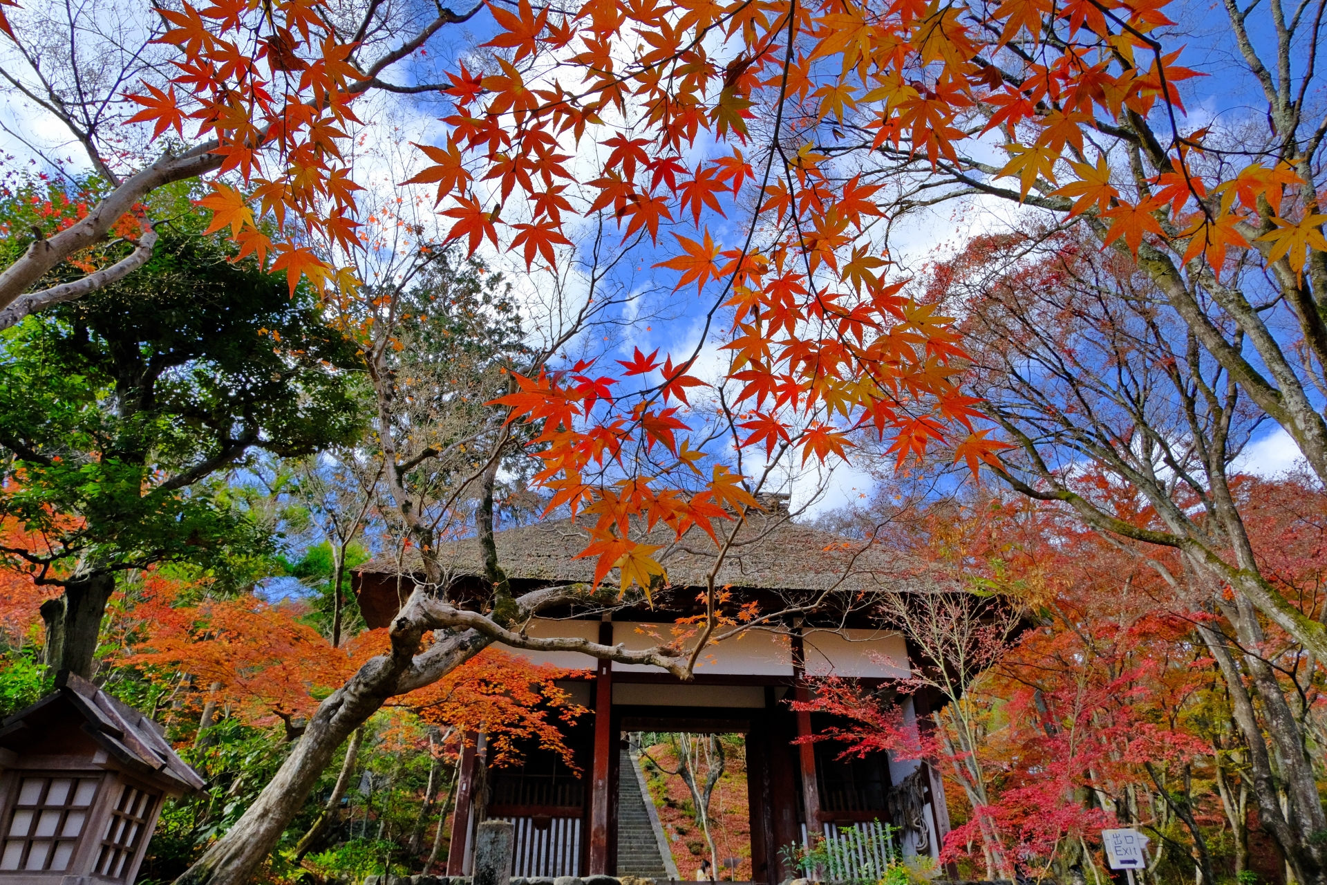 Hyakunin Isshu Summary: What “100 Poems by 100 Poets” Means (and Why It ...