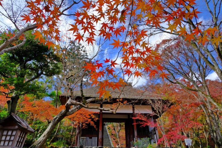 Issunboshi: The One-Inch Samurai and His Timeless Tale of Courage ...